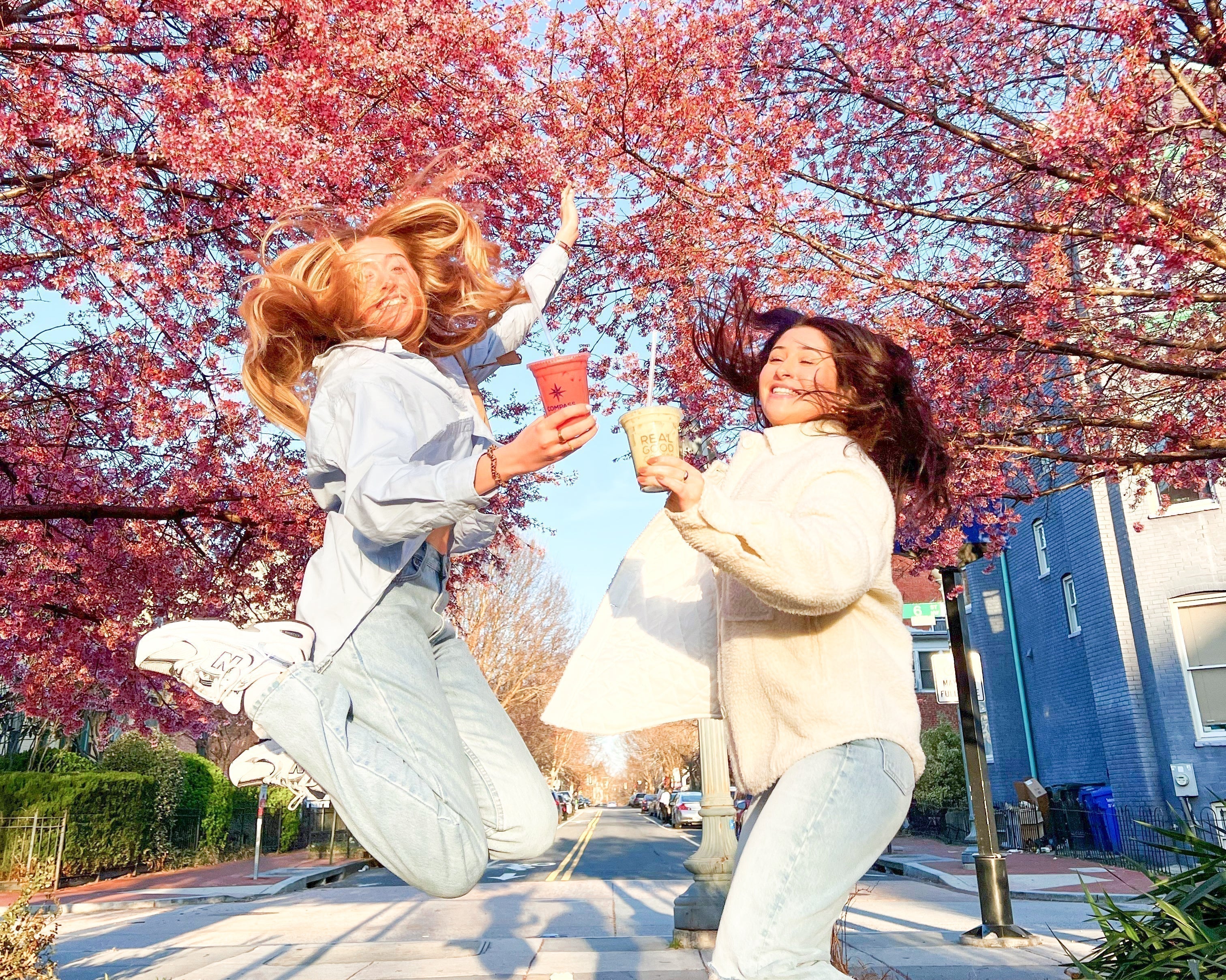 The Ultimate Guide to Spring in DC + Cherry Blossoms DC – Compass Coffee
